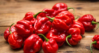 ¿Sabías que en España hay un pimiento que pica como el chile habanero?