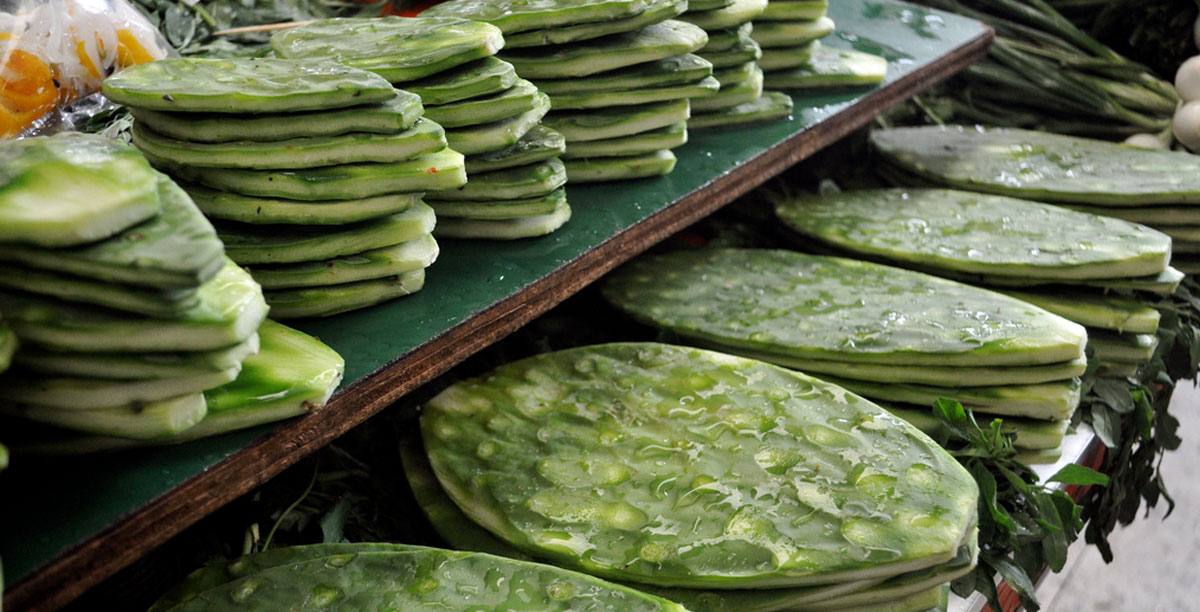 El nopal, de una planta a un platillo de las mesas mexicanas